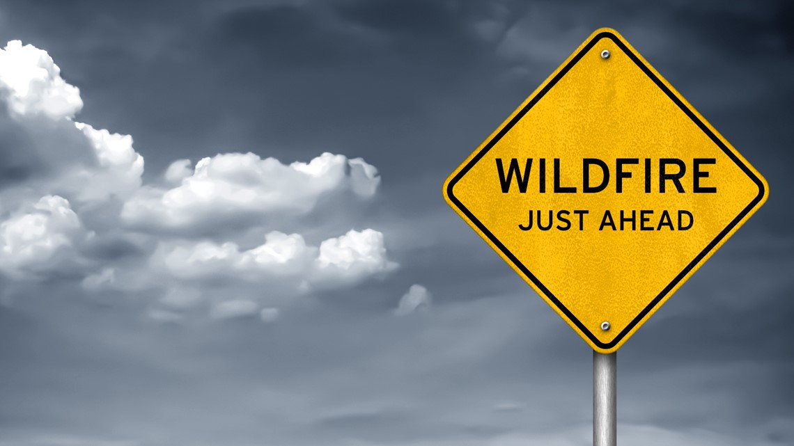 Wildfire in Collier County grows close to 10K acres | wtsp.com