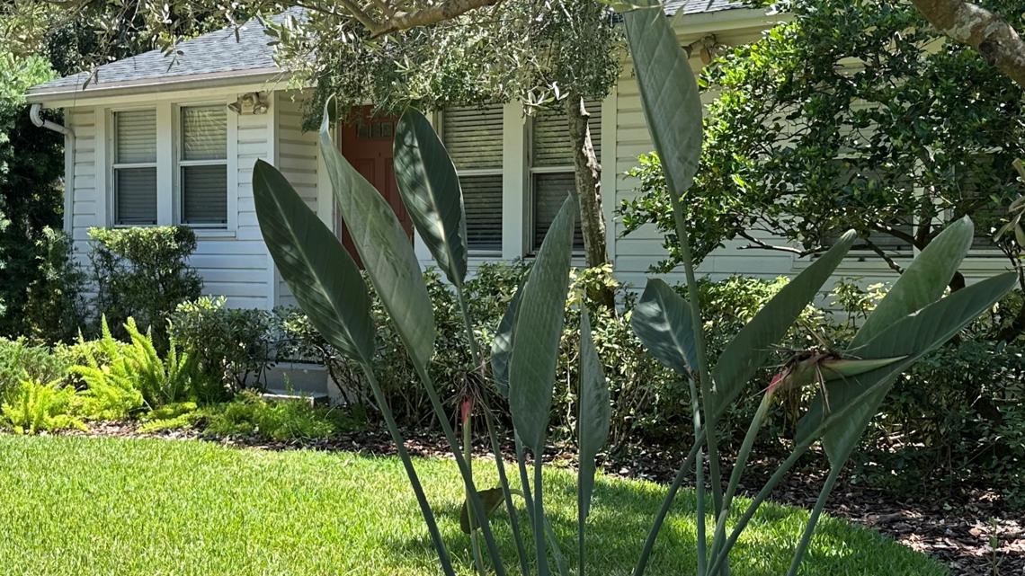 Remembering Hulk Hogan: A rare look at his childhood home and Tampa ...