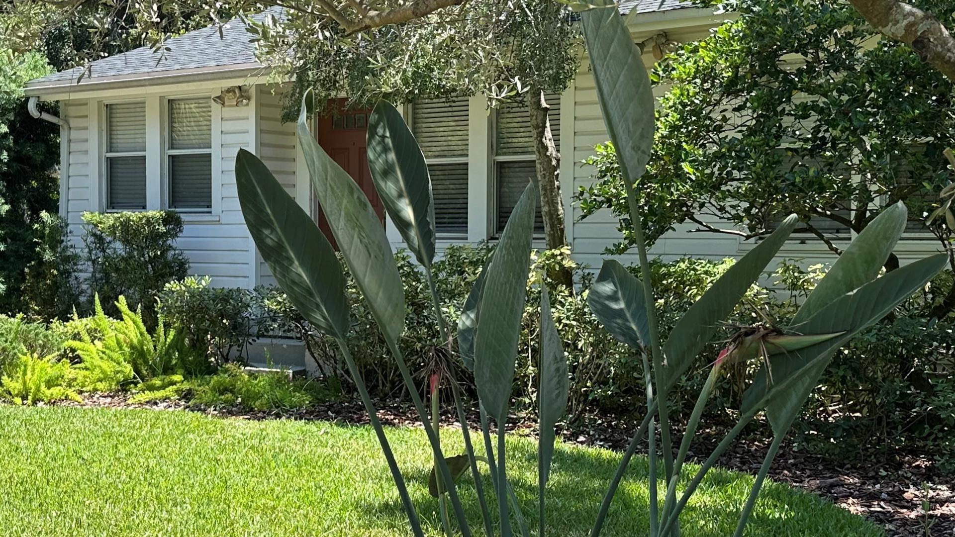 Remembering Hulk Hogan: A rare look at his childhood home and Tampa ...