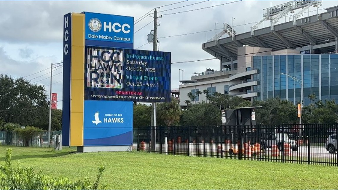 Tampa Bay Rays eye two Hillsborough County sites for new stadium | wtsp.com