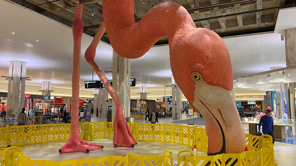 Flamingo at Tampa airport goes up in pieces | wtsp.com