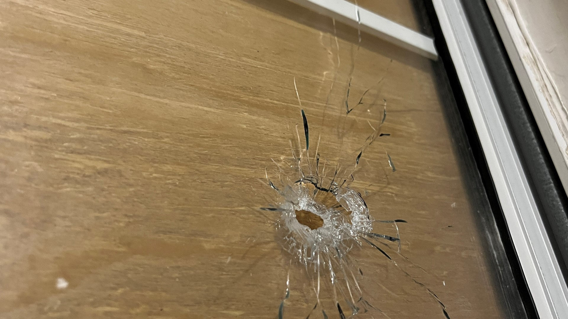 Tampa Bay area home rattled with 16 gunshots over weekend | wtsp.com