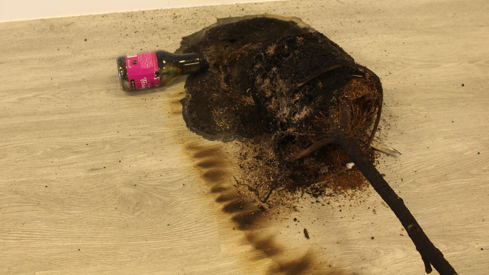 Florida man accused of throwing Molotov cocktails on business arrested ...