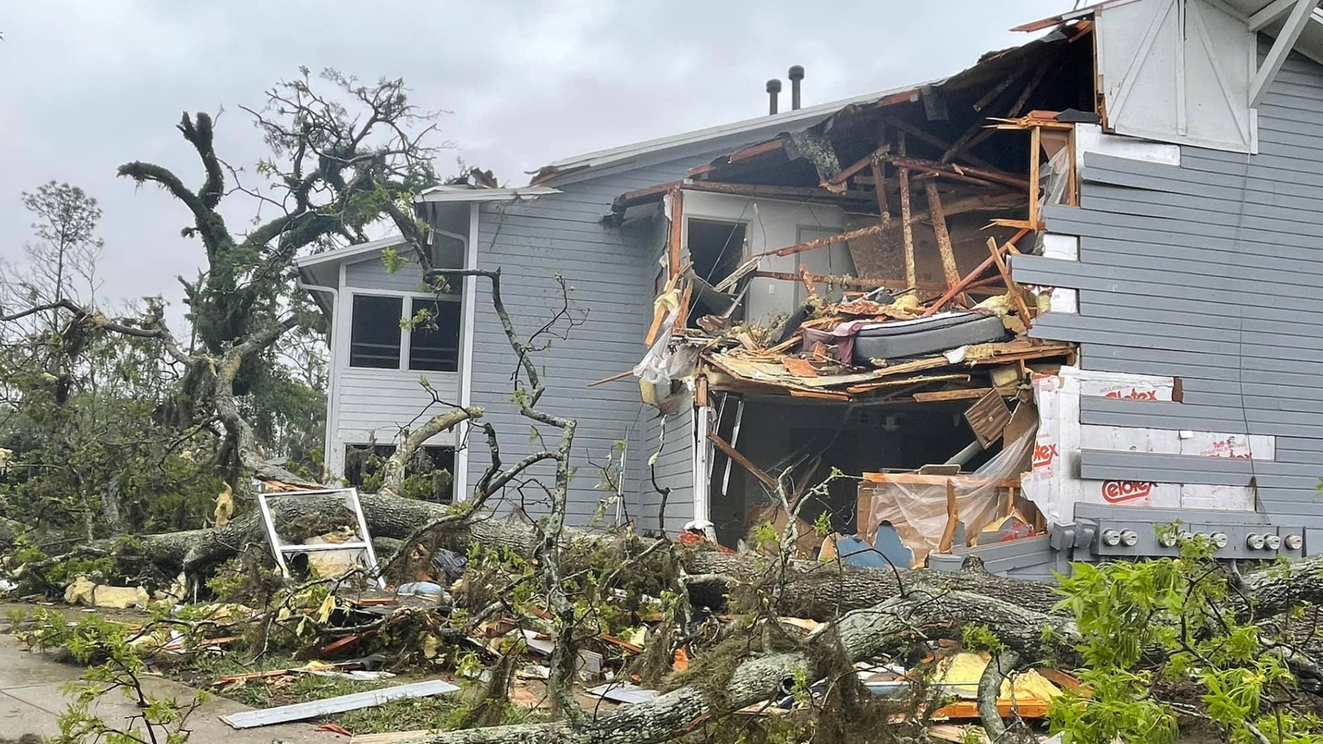Florida storm damage: Wind damage, downed trees north of Tampa | wtsp.com