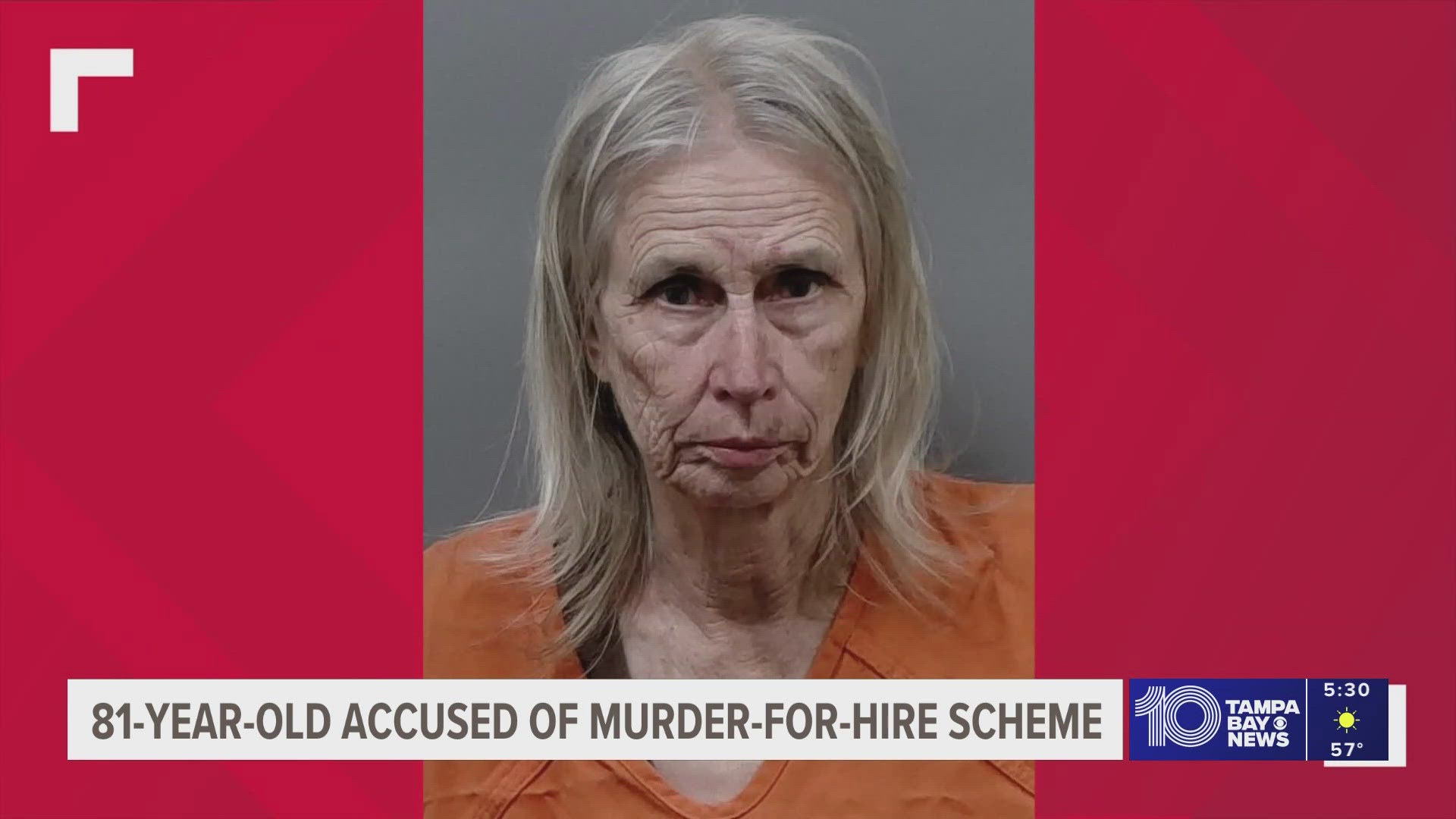 E-bike battery causes house fire in Citrus County | wtsp.com