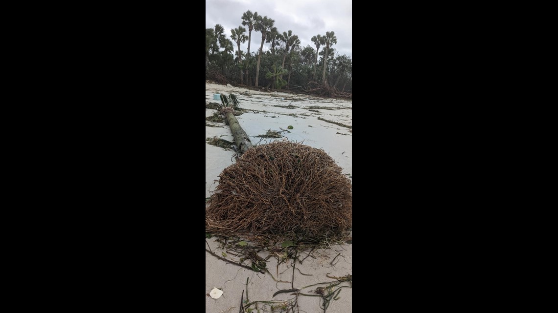 PHOTOS: Aftermath left behind in Naples, Florida following Hurricane ...