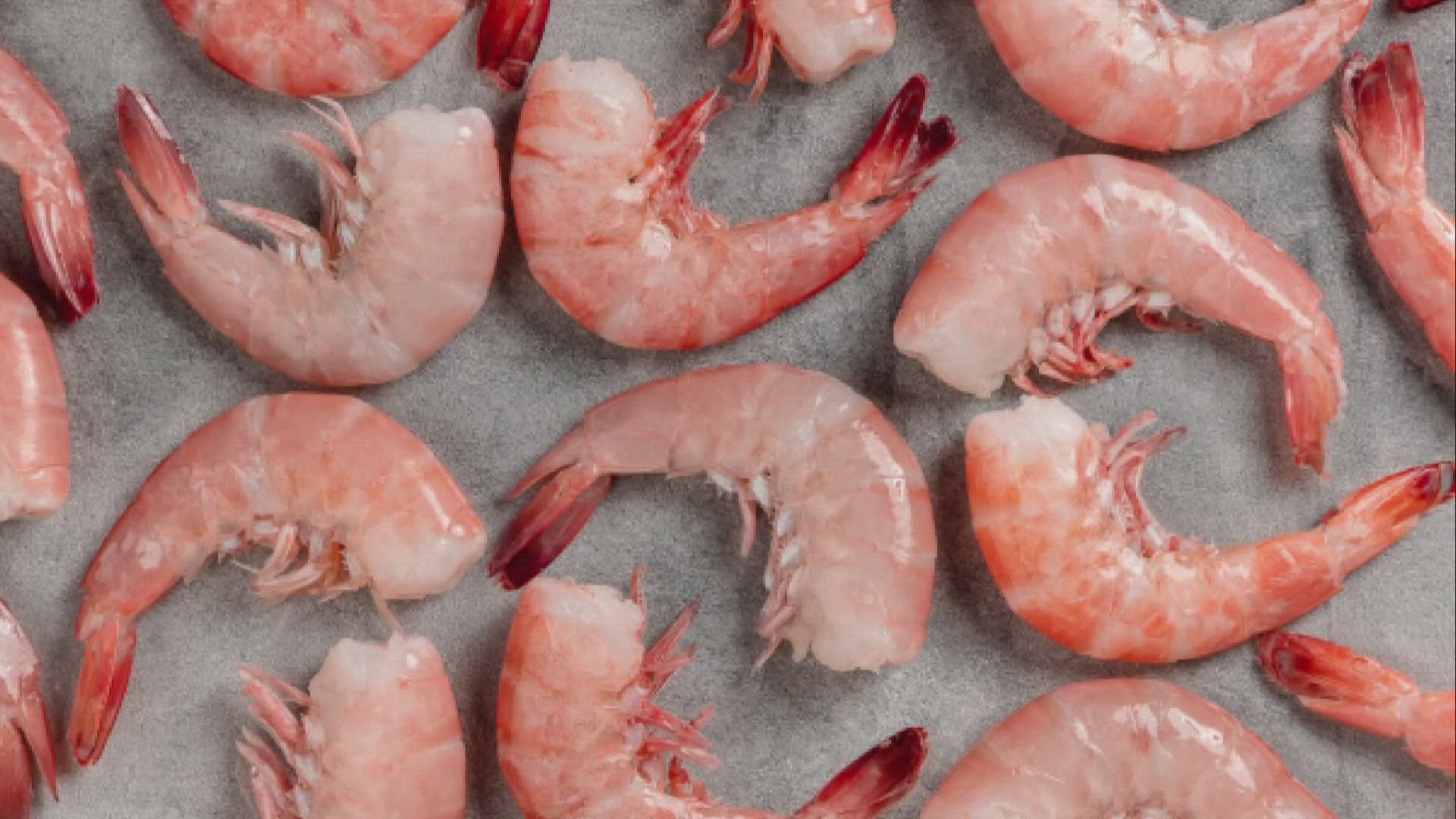 Most shrimp served in Tampa Bay is imported rather than local: report ...