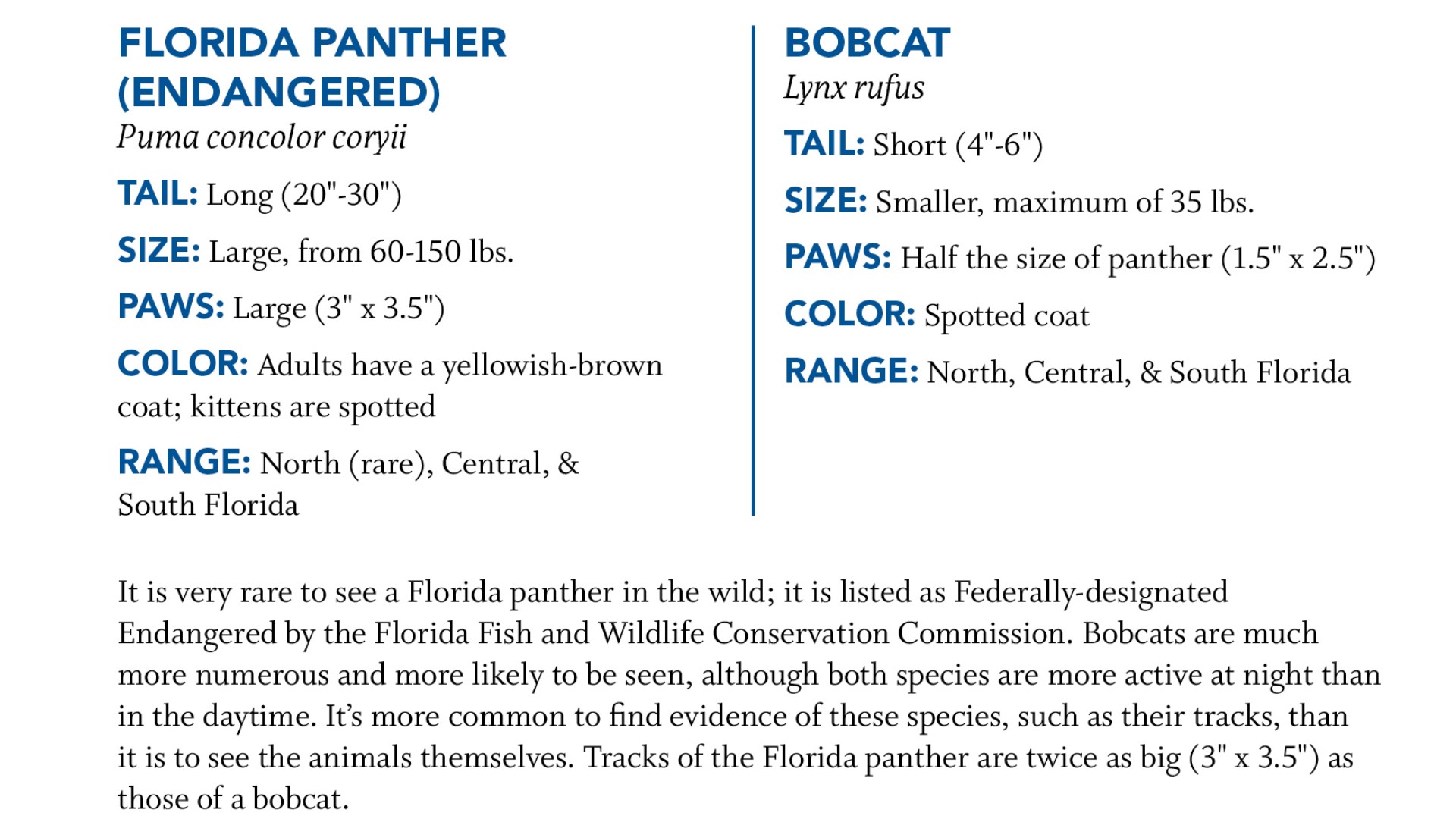 Top 10: Misidentified Florida animals, plants and insects | wtsp.com