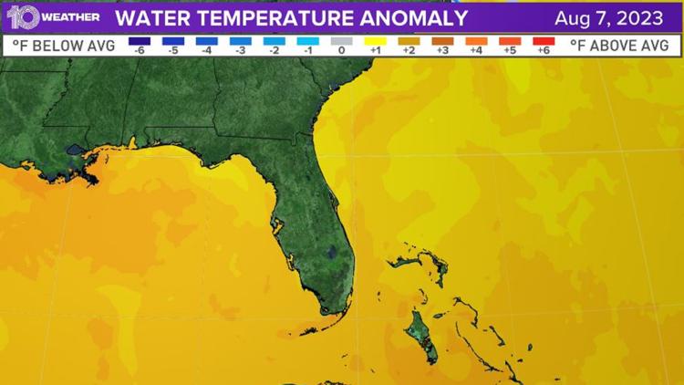 Clearwater Beach water temperature hits 93 degrees | wtsp.com