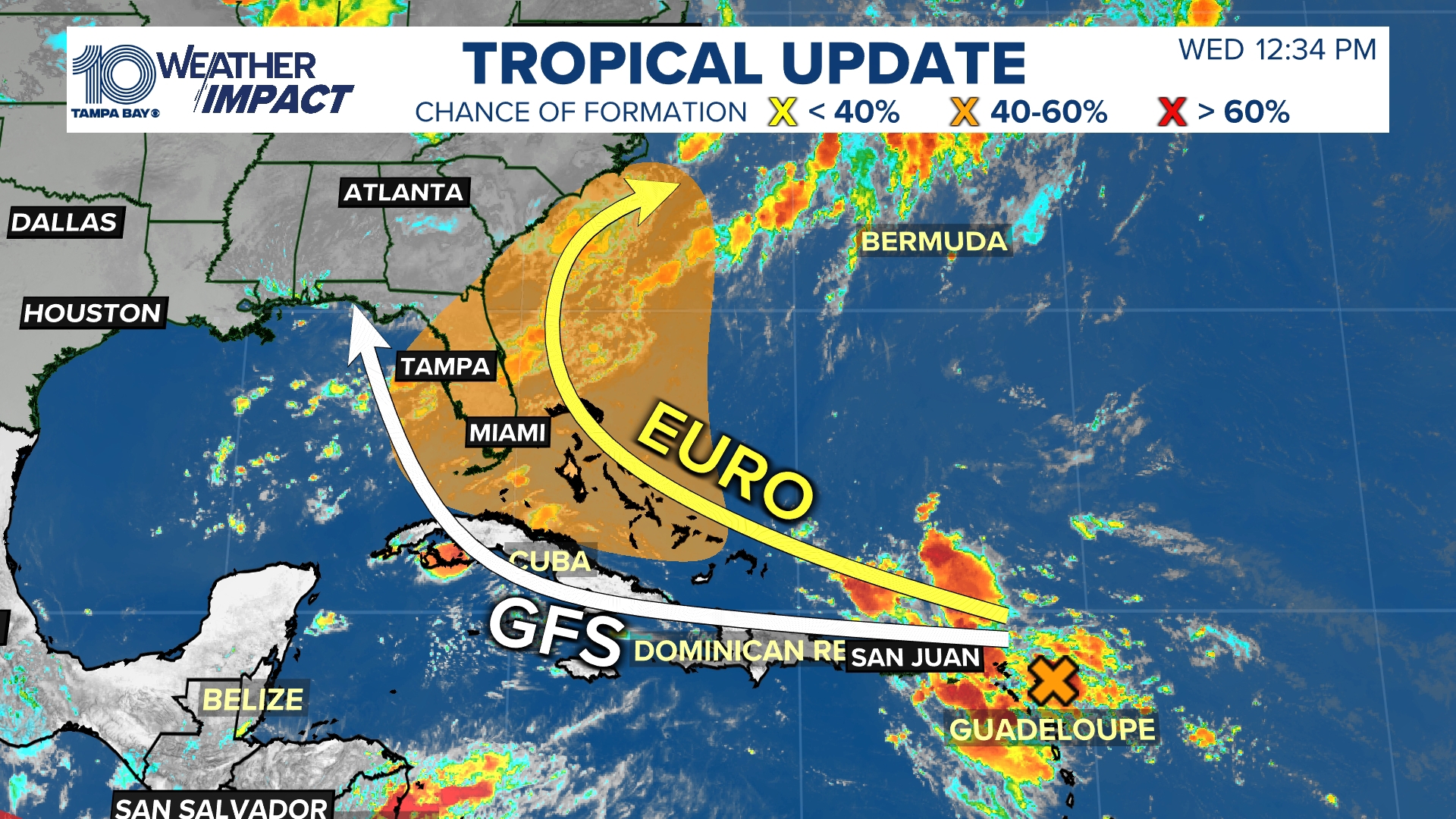 Watch | 10 Tampa Bay Live and On-Demand Videos | Tampa, Florida | wtsp.com