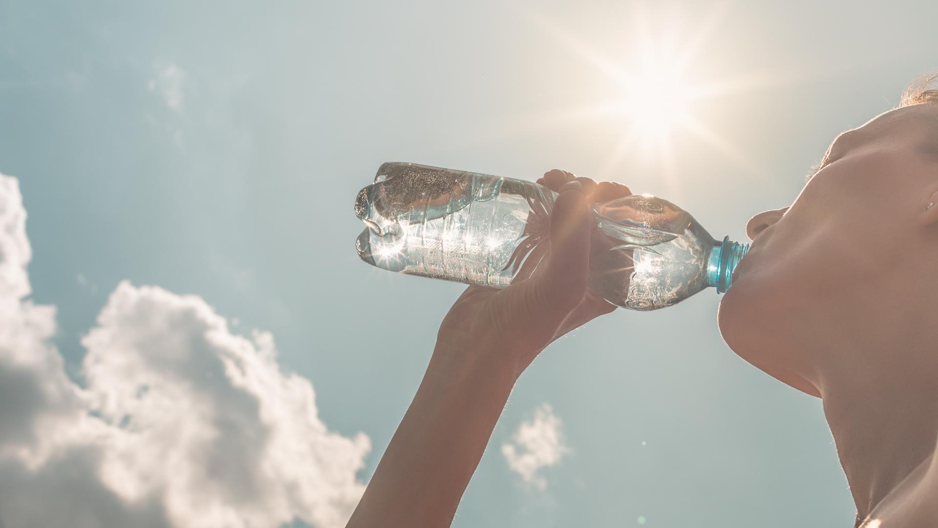 Local News | Tampa Bay | Sarasota | wtsp.com