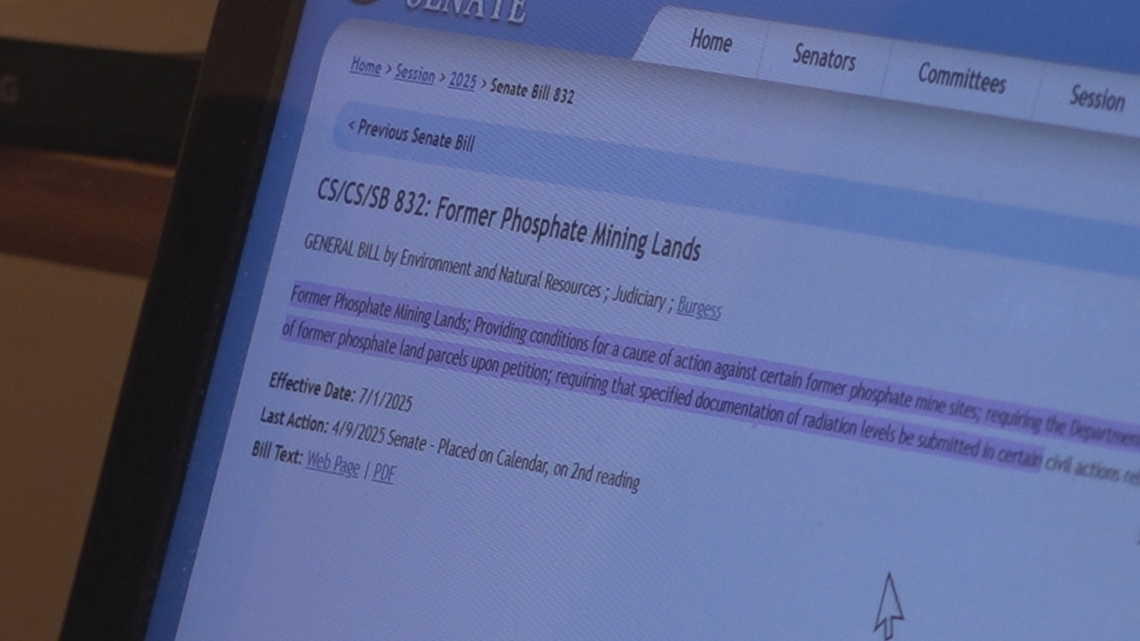 Caitlin Lockerbie: 10 Tampa Bay anchor | wtsp.com