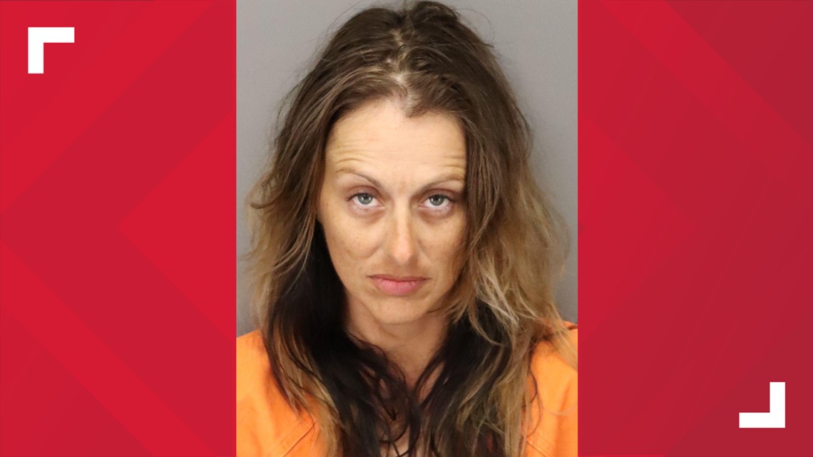 Sheriff: Off-duty Florida corrections officer arrested for DUI | wtsp.com