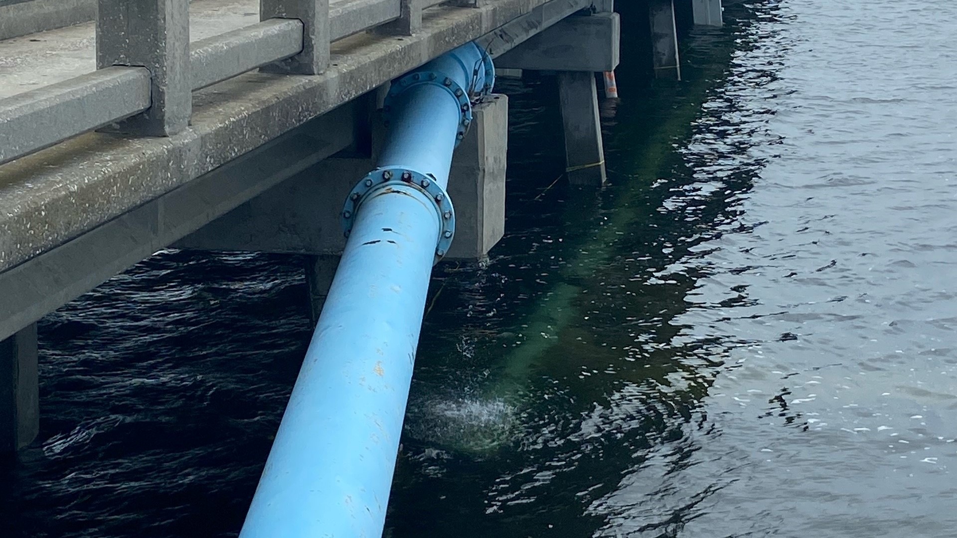 Twitter rolls out GIF button | wtsp.com