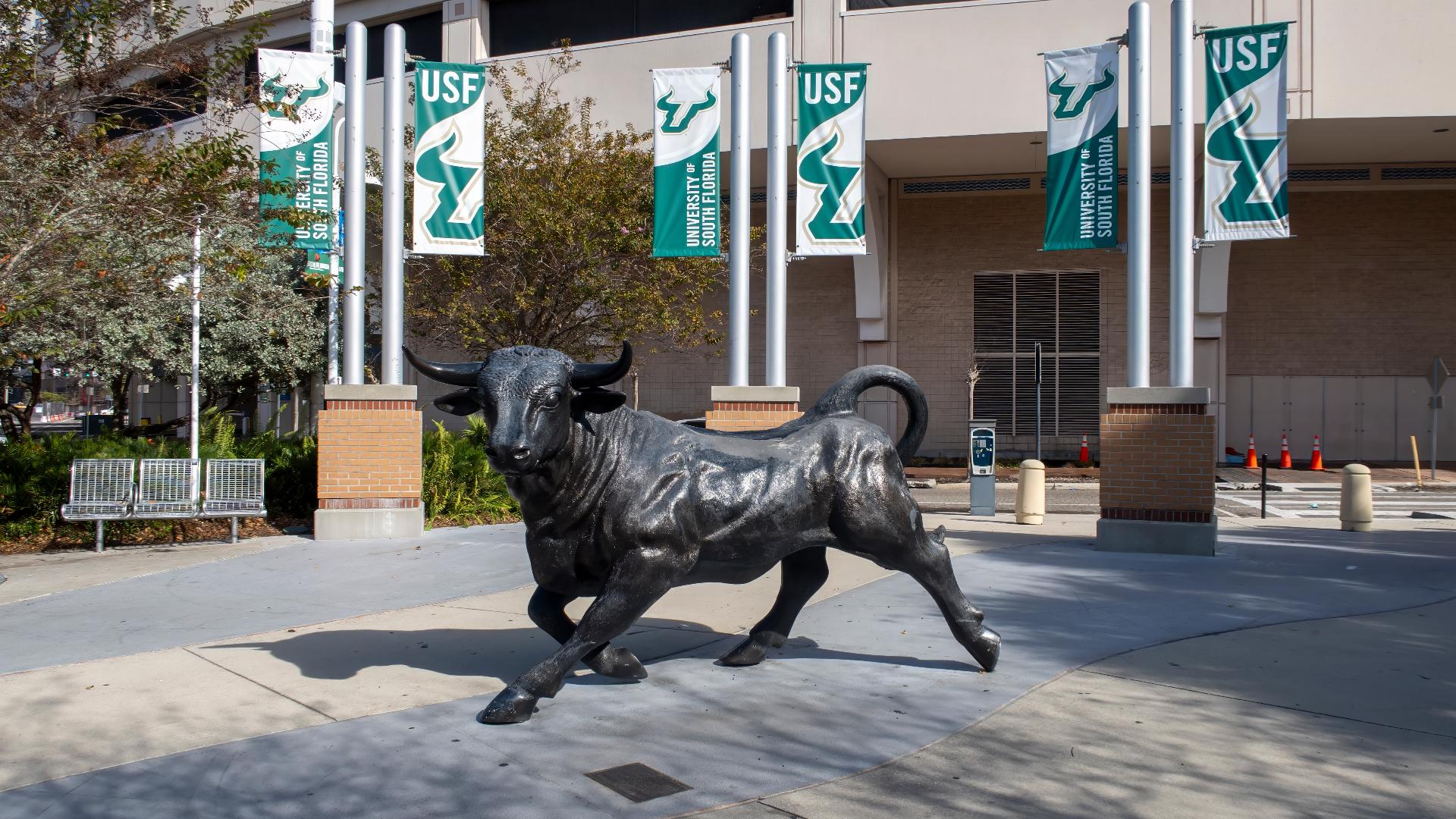 USF welcomes 7,500 new students ahead for 2025 | wtsp.com