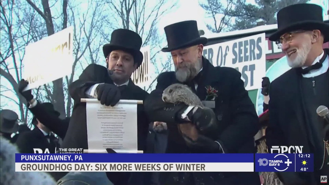 Groundhog Punxsutawney Phil predicts 6 more weeks of winter | wtsp.com
