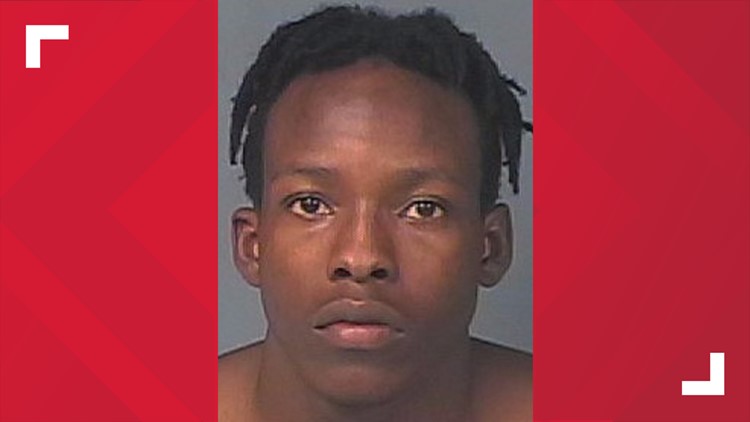 Deputies: 2 Spring Hill teens arrested for armed robbery | wtsp.com