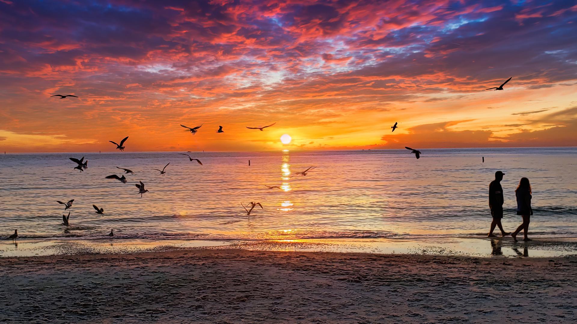 When is sunrise, sunset in Florida? | wtsp.com