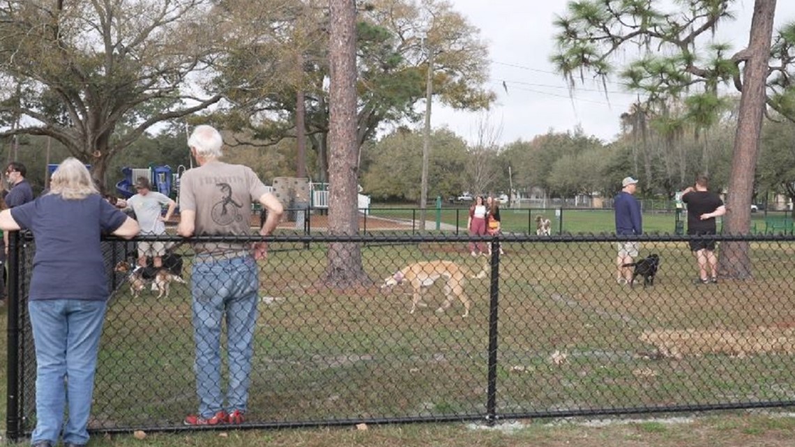 Tampa opens new dog park with over 10,000 sq. ft. | wtsp.com