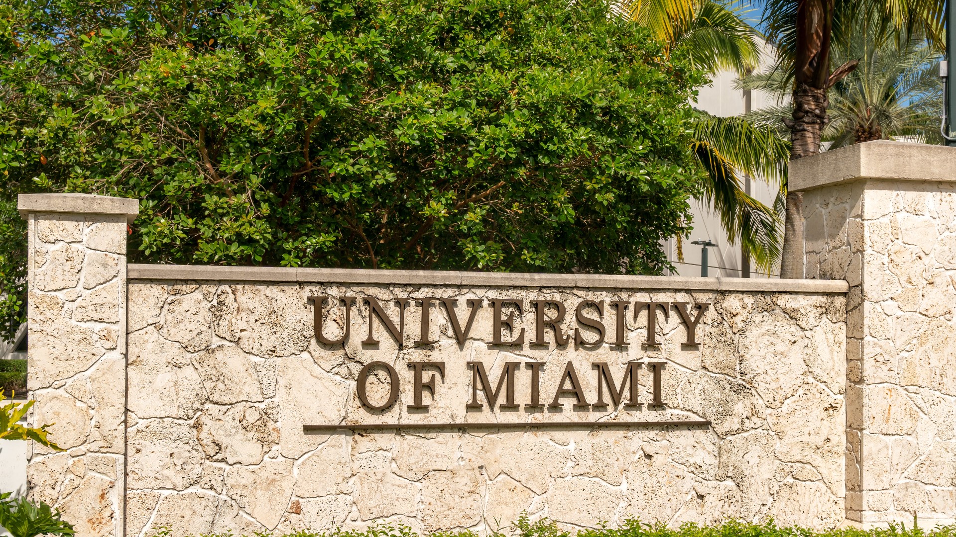 Video shows apparent hazing at University of Miami fraternity | wtsp.com