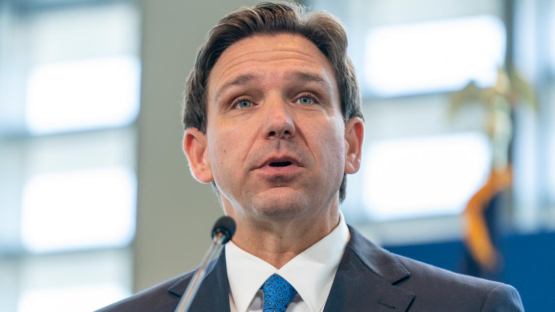 DeSantis launches DOGE task force for Florida | wtsp.com