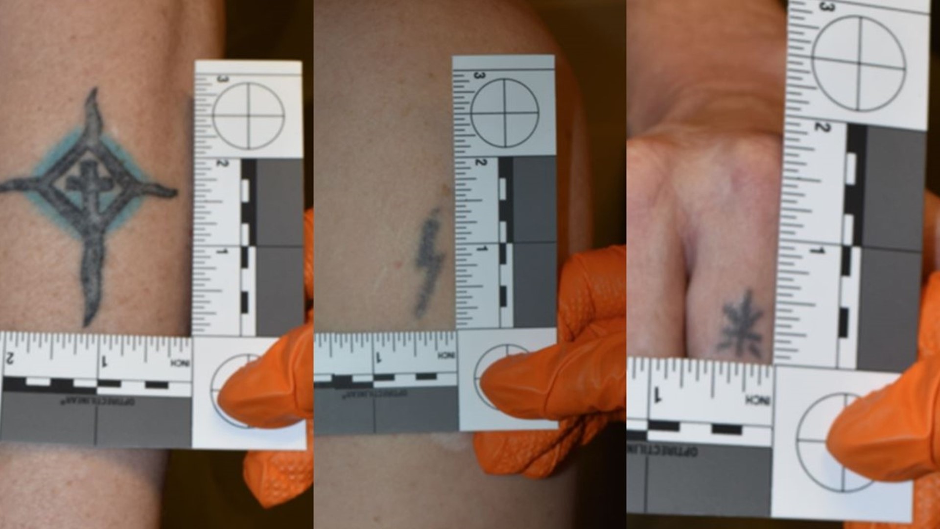 Man who escaped custody in Tennessee arrested in Pinellas County | wtsp.com