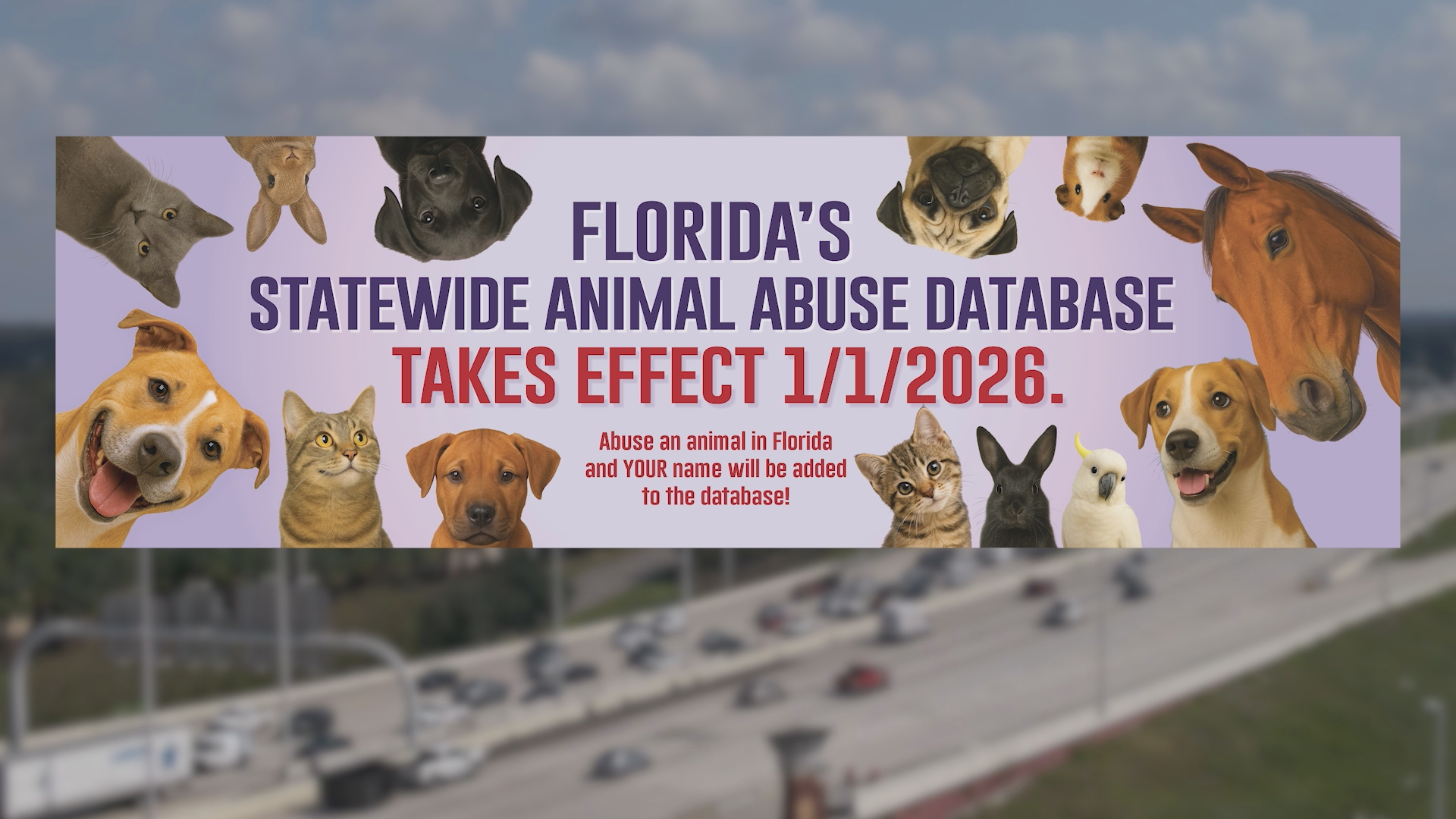 Dexter's Law creates Florida animal abuse database starting Jan. 1 ...
