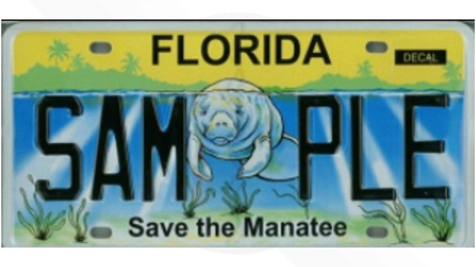 Most popular specialty license plates in Florida | wtsp.com
