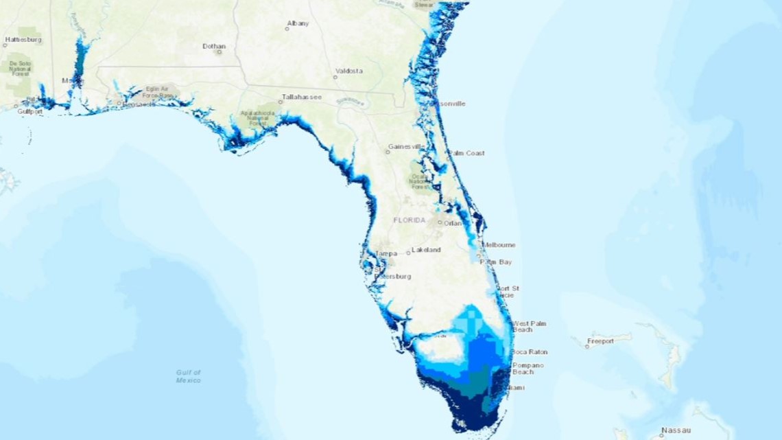 The heat is on the rise and climate change is affecting Tampa Bay ...