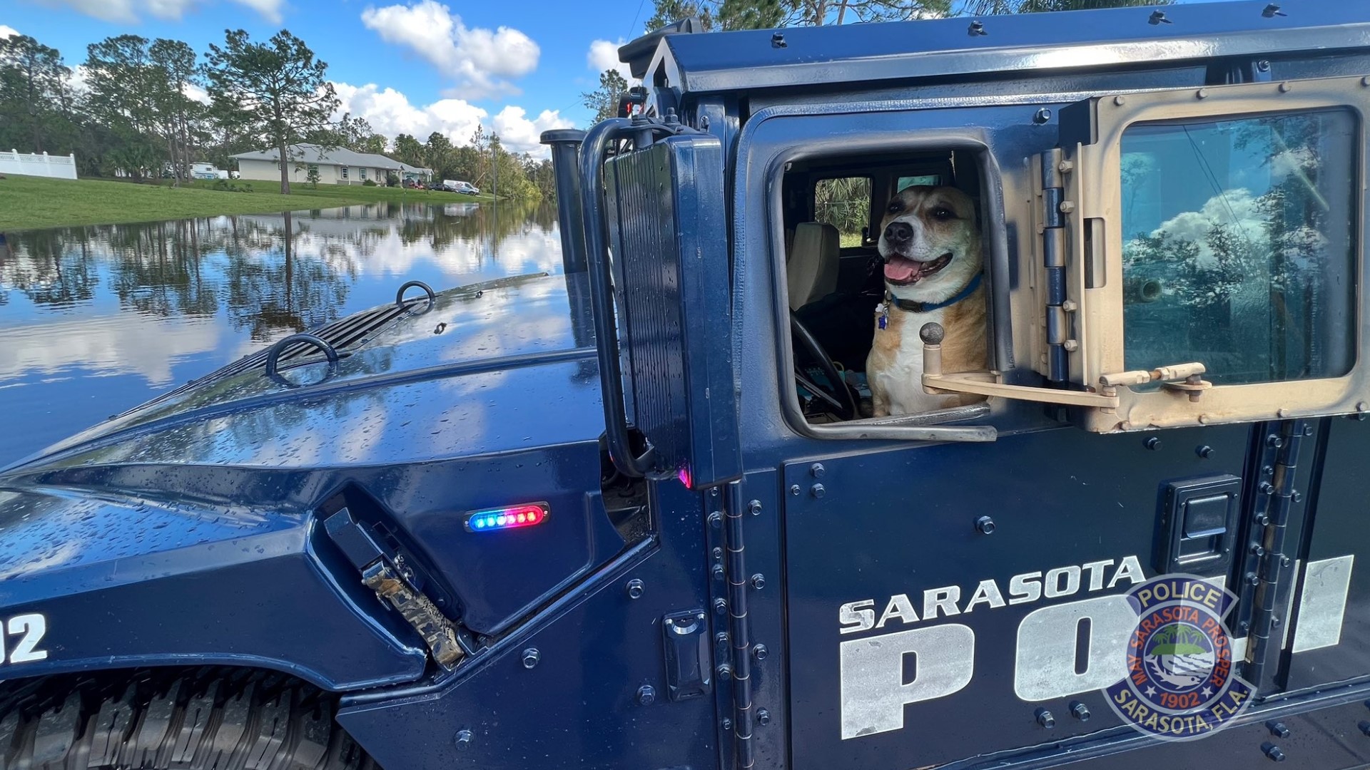 PHOTOS: Search and rescue efforts continue in Hurricane Ian aftermath | wtsp.com