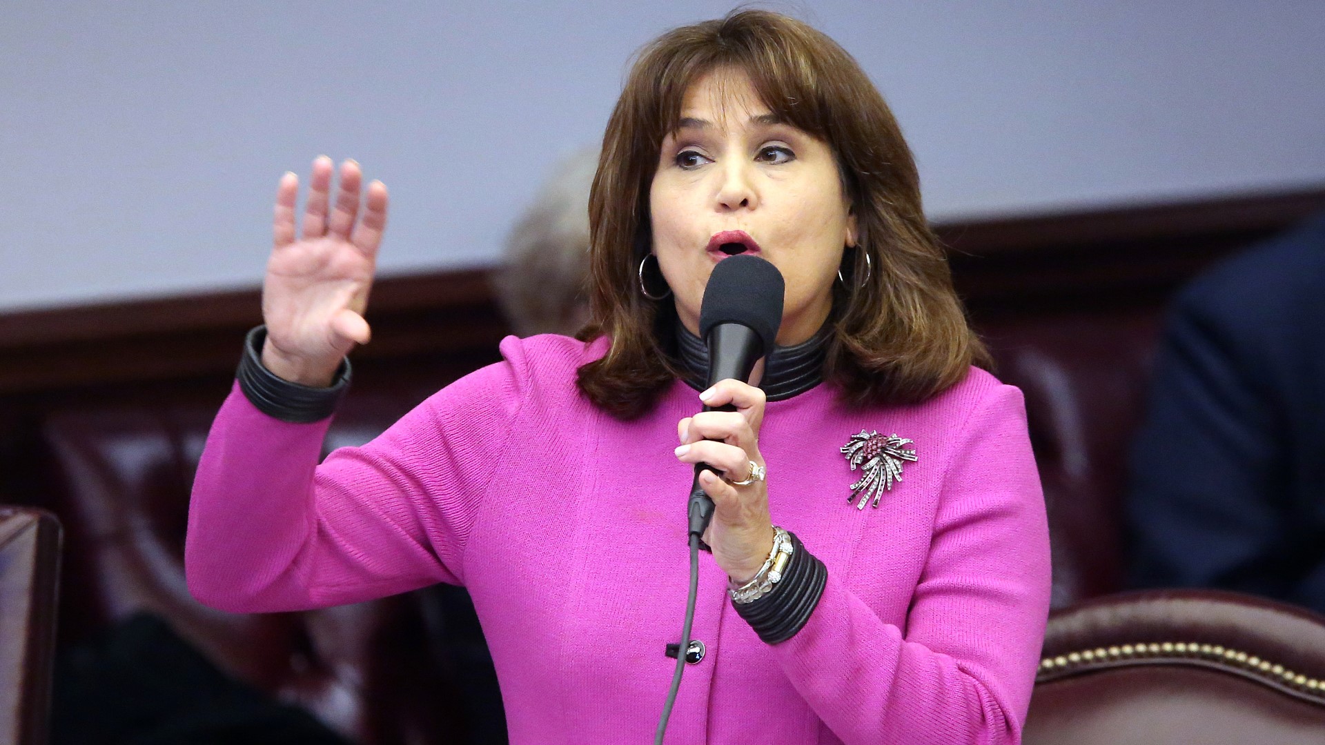 Annette Taddeo runs to become Florida's first Latina governor | wtsp.com