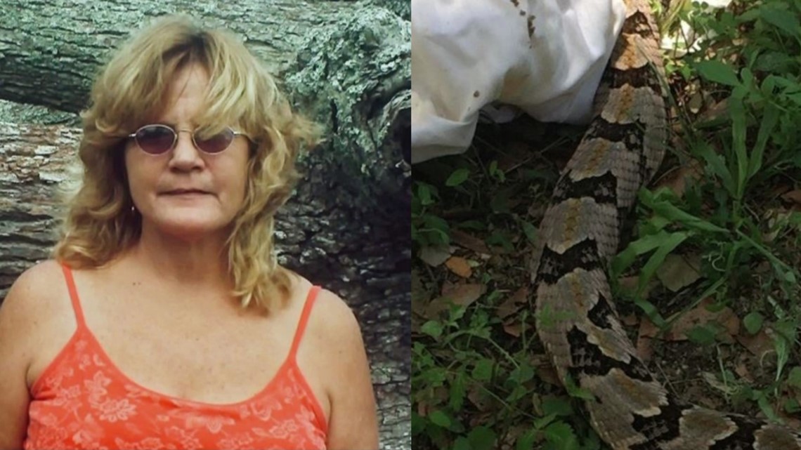Georgia woman dies after being bitten by rattlesnake while gardening ...