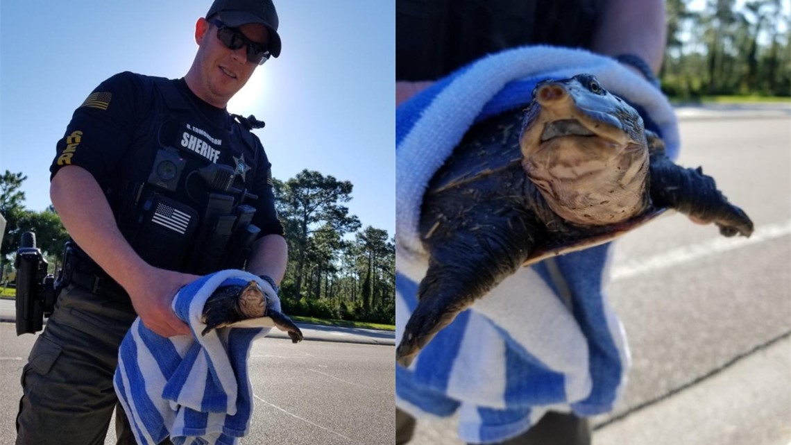 PHOTOS: Search and rescue efforts continue in Hurricane Ian aftermath | wtsp.com