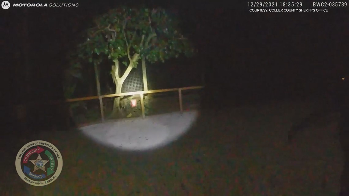 Man pleads for help as Naples Zoo tiger bites, holds on to arm, body ...