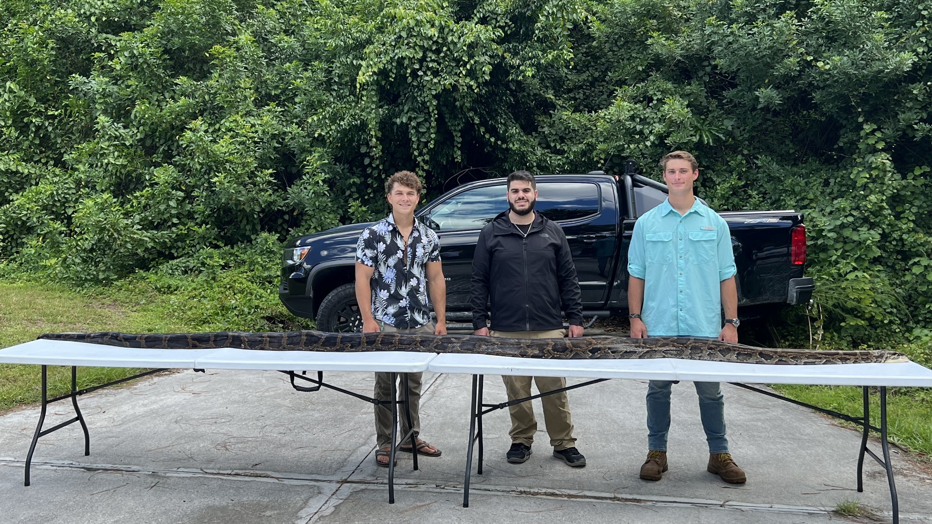 Florida hunters catch enormous 17-foot python | wtsp.com