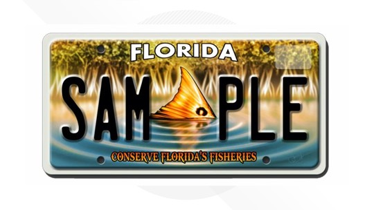 Where can I get the Florida fish license plates? | wtsp.com