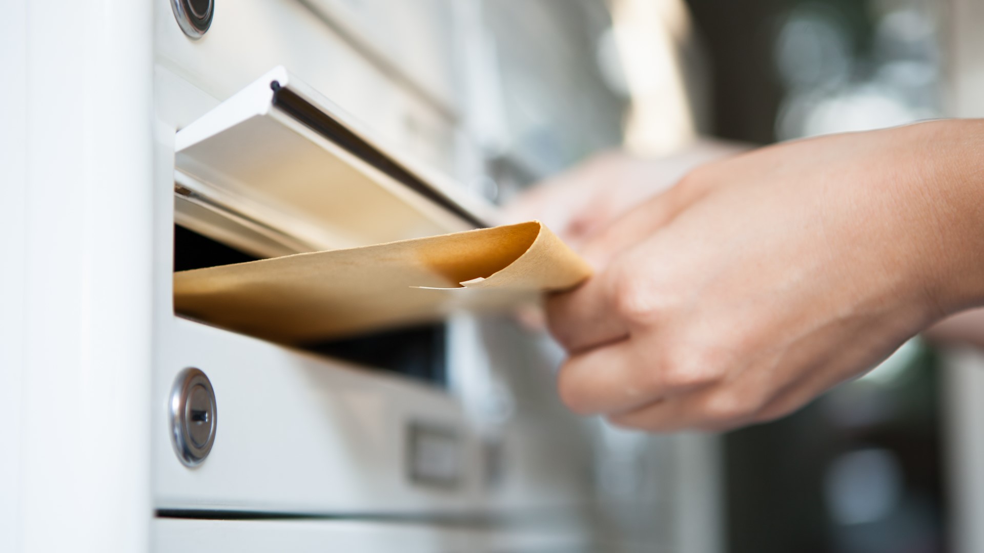 Florida postal worker accused of stealing, opening mail in Ocala | wtsp.com