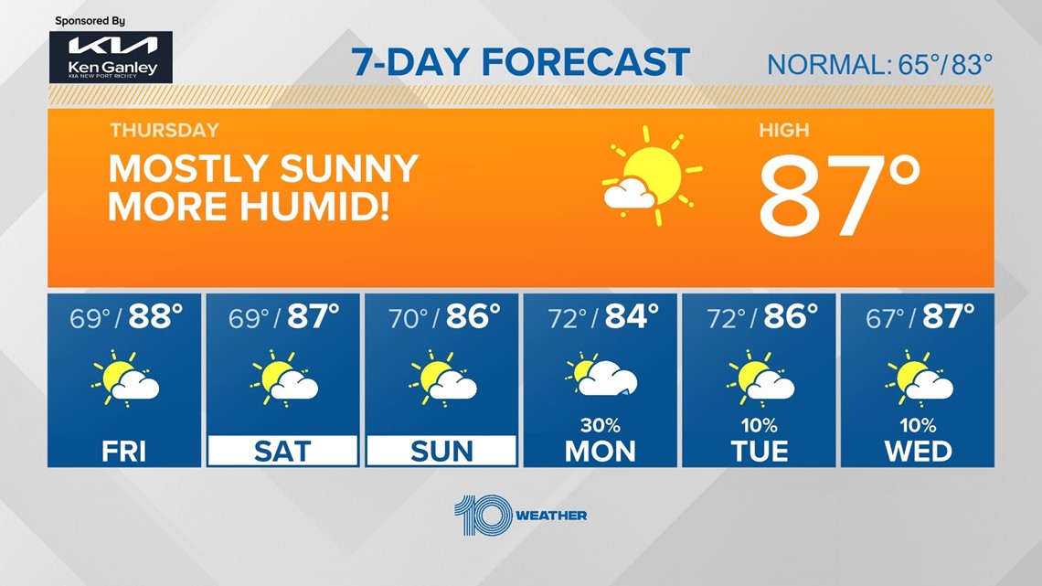 Watch | 10 Tampa Bay Live and On-Demand Videos | Tampa, Florida | wtsp.com