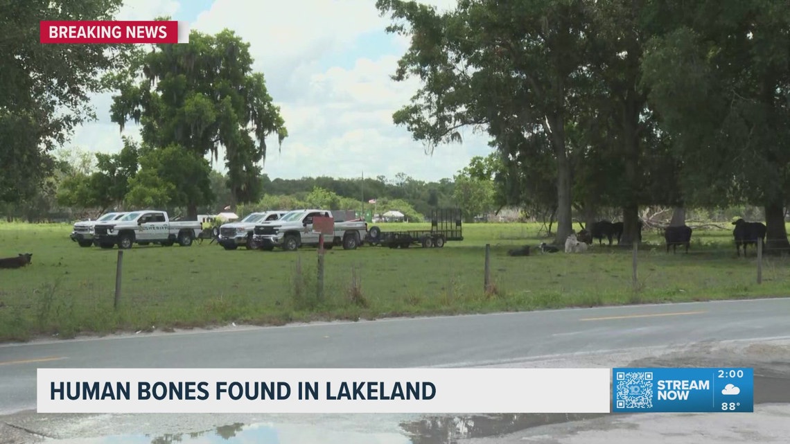 Kids find skull, other bones in Polk County cow field | wtsp.com
