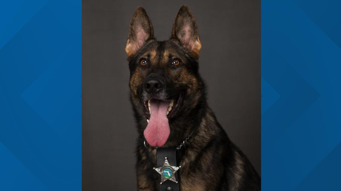 Florida woman accused of biting deputy after DUI arrest | wtsp.com