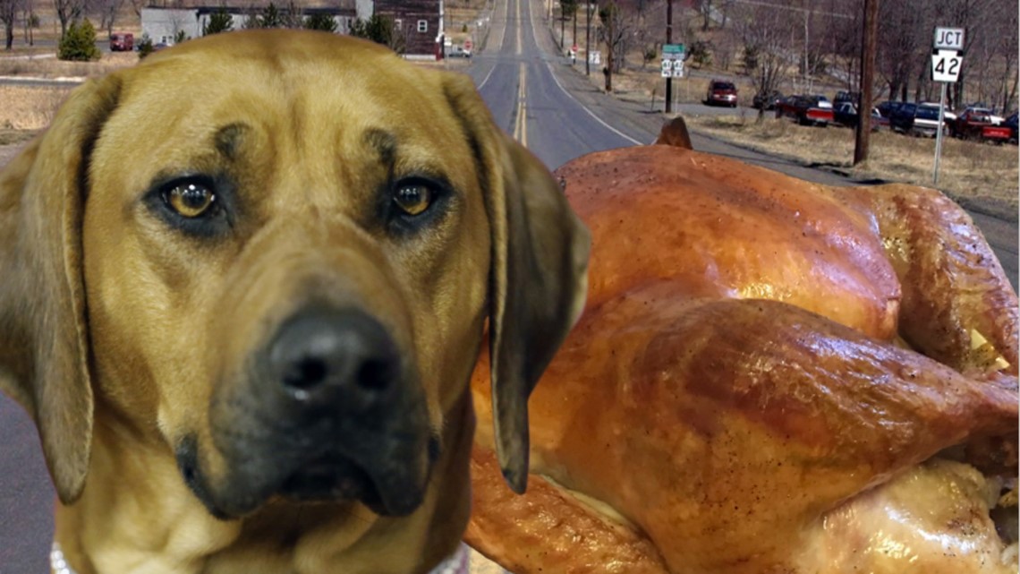 Dog steals thanksgiving turkey in Facebook viral picture | wtsp.com