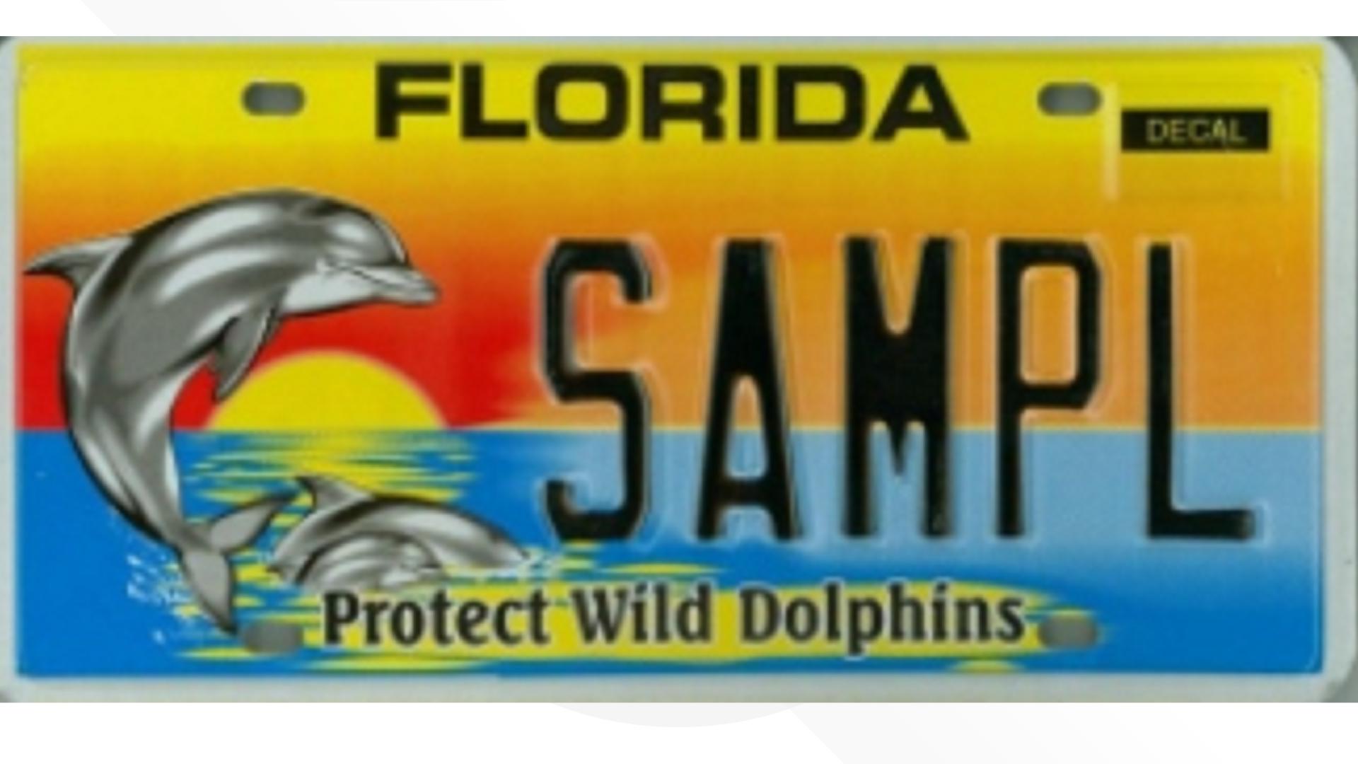 What is Florida's most popular specialty license plate? | wtsp.com