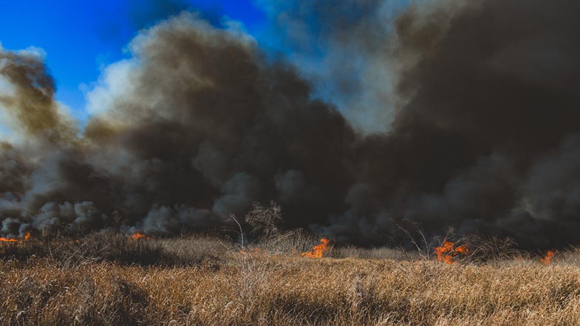 Firefighters in Polk County contain 1,216-acre fire | wtsp.com
