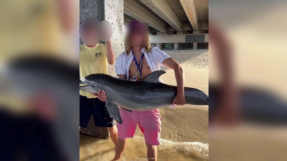 FL man investigated after holding dolphin above water for photo | wtsp.com