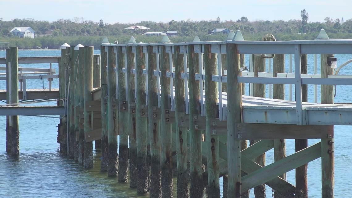 Manatee County residents push back on possible cruise port near ...