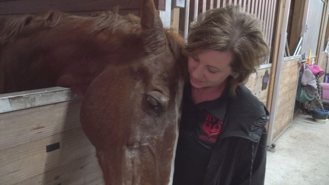 Families turn to Florida horse rescue as care costs soar | wtsp.com
