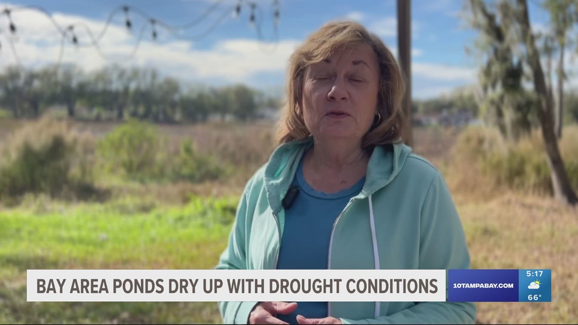 Hillsborough County code enforcement issues over $24K in fines for ...