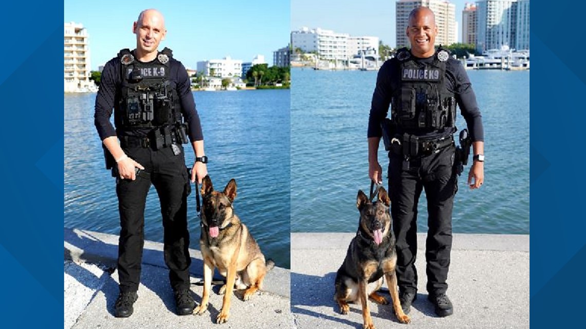 Sarasota Police Department welcomes 2 new K-9s | wtsp.com
