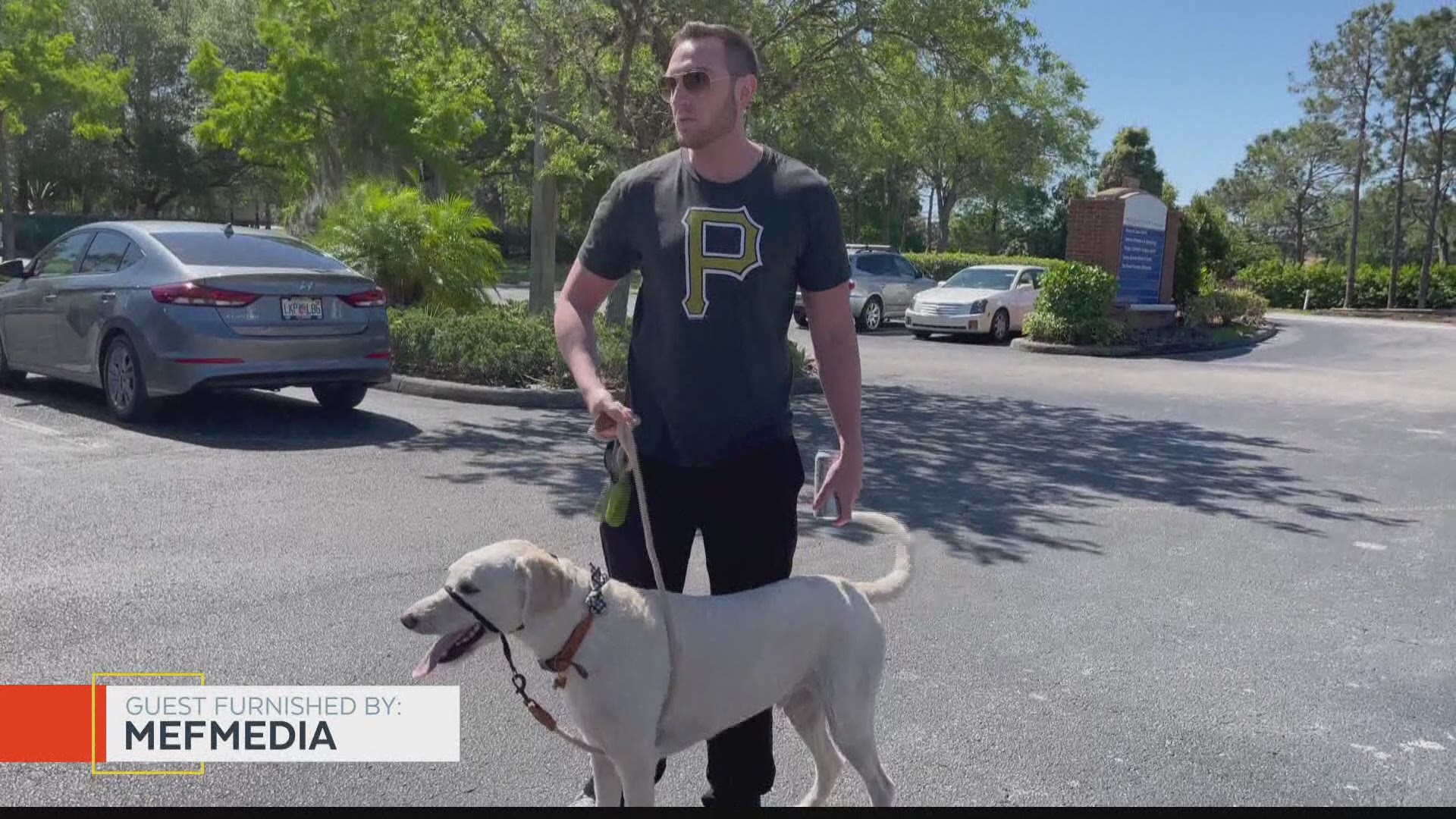 Local dentist combines talents with passion for animals | wtsp.com