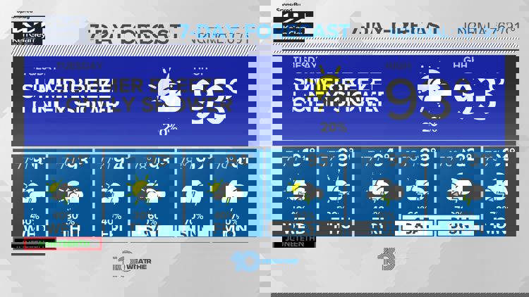 Watch | 10 Tampa Bay Live and On-Demand Videos | Tampa, Florida | wtsp.com